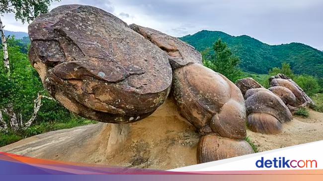 Ilmuwan Penasaran dengan Batu Hidup yang Bisa 'Melahirkan'