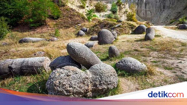 Wujud Batu Hidup yang Bisa 'Beranak'