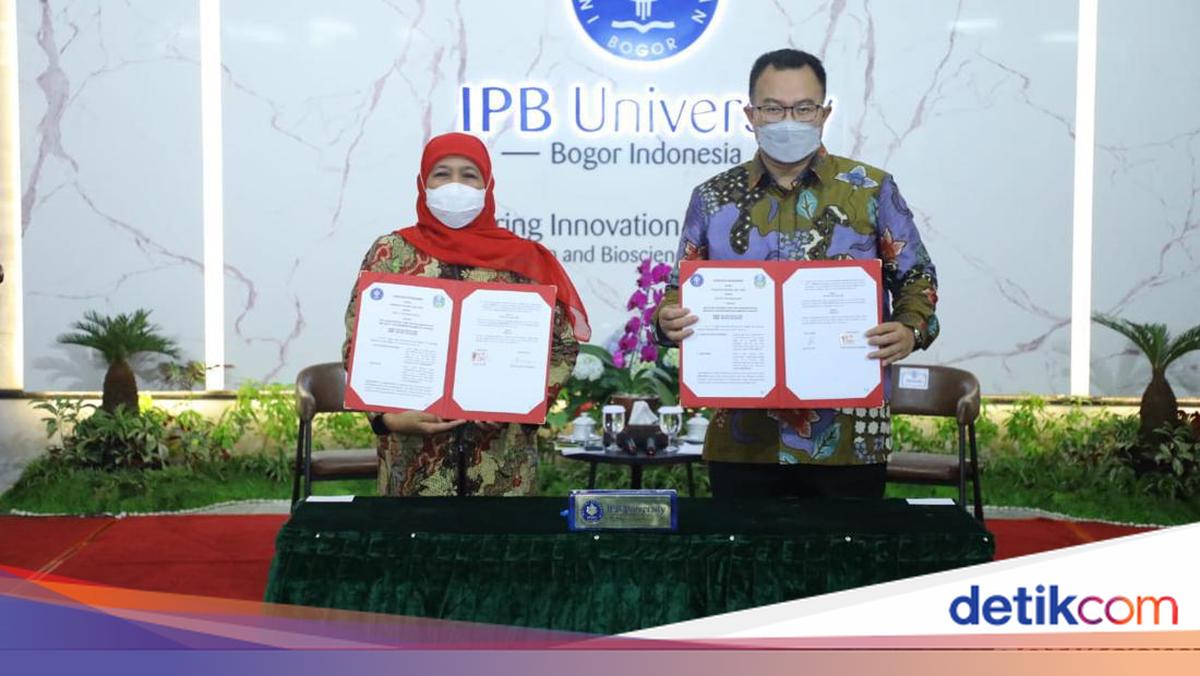 IPB Punya Rektor Baru, Khofifah Harap Kerjasama di Sektor Pertanian ...