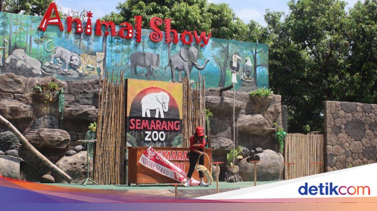 Semarang Zoo: Harga Tiket, Wahana, dan Jam Buka