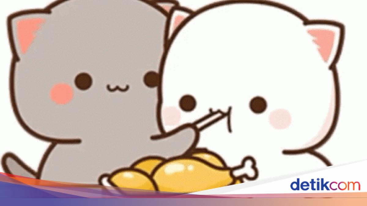 Cara Membuat Sticker WA yang Bergerak, Ternyata Mudah!