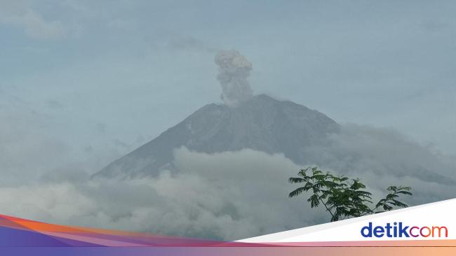 Gunung Semeru Erupsi, Tinggi Letusan Capai 500 Meter dari Puncak