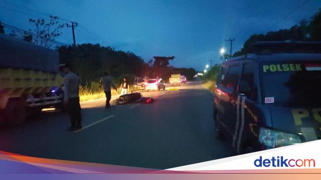 Pemotor di Kalsel Tewas Tabrak Kerbau yang Sedang Menyeberang Jalan