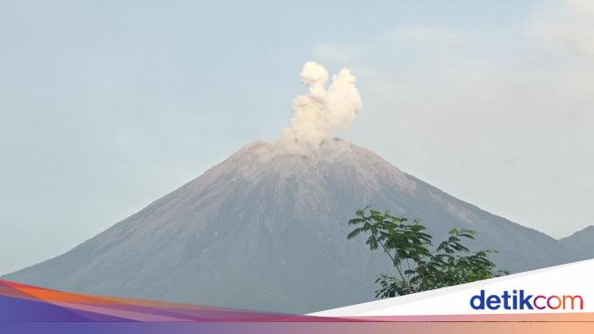 Gunung Semeru Erupsi 2 Kali Pagi Ini, Tinggi Letusan Capai 800 Meter