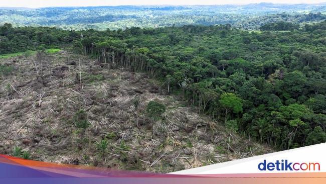 Ngeri! Manusia Ternyata Biang Keladi Kepunahan Massal bagi Banyak Spesies