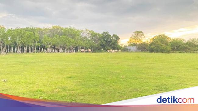 Eksotisme Padang Savana Takalar dengan Pemandangan Laut yang Memukau