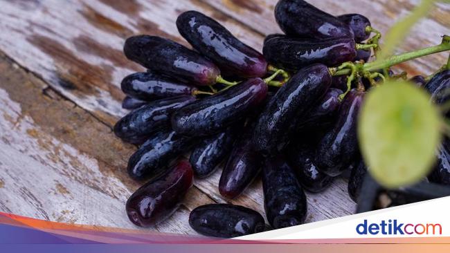 5 Fakta Anggur Sweet Sapphire yang Bentuknya Lonjong seperti Jari Monster