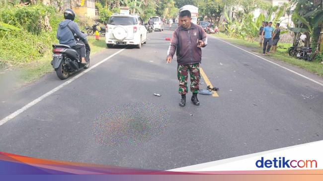 2 Anggota TNI Tewas Kecelakaan di Bali, Sopir Truk Diperiksa 2 Anggota TNI Tewas Kecelakaan di Bali, Sopir Truk Diperiksa
