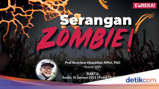 Fakta-fakta Ilmiah Jamur 'Zombie' Cordyceps