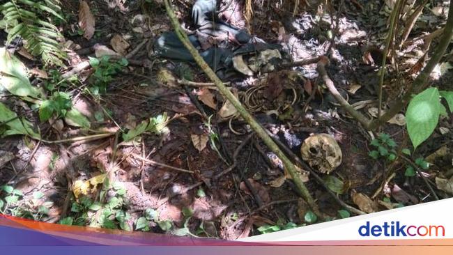 Geger Temuan Mayat di Luwu Tinggal Kerangka, Polisi Selidiki Geger Temuan Mayat di Luwu Tinggal Kerangka, Polisi Selidiki