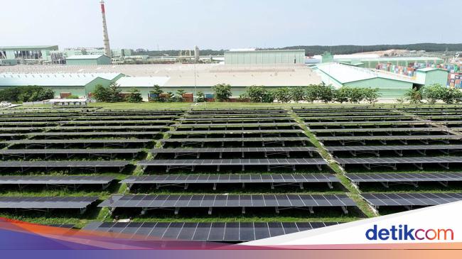 Canggih! Ini Panel Surya Terbesar di Indonesia, Sudah Tahu?