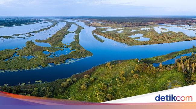 Hari Lahan Basah Sedunia 2023, Fakta hingga 7 Manfaat Restorasi