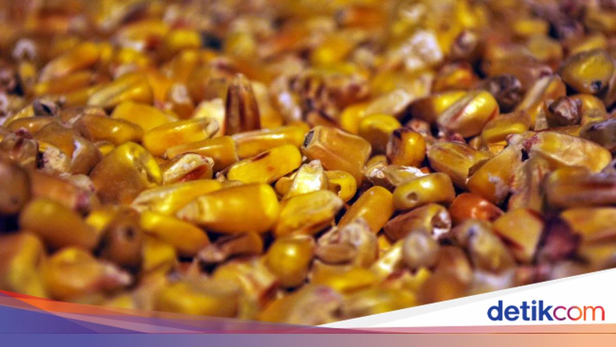 Kuantitas Adalah: Macam, Contoh, dan Perbedaan dengan Kualitas