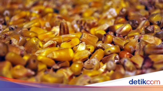 Kuantitas Adalah: Macam, Contoh, dan Perbedaan dengan Kualitas