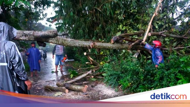 Hujan Lebat-Angin Kencang Landa Klaten, Sejumlah Pohon Tumbang
