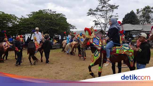 Mengenal Kuda Renggong yang Piawai Menari dan Berkelahi
