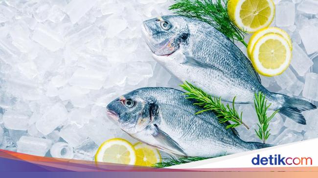 5 Kesalahan Menyimpan Ikan di Freezer yang Sering Dilakukan
