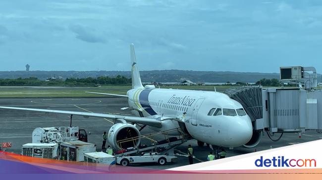 Mengenal TransNusa, Maskapai Pesawat Keren dari Indonesia