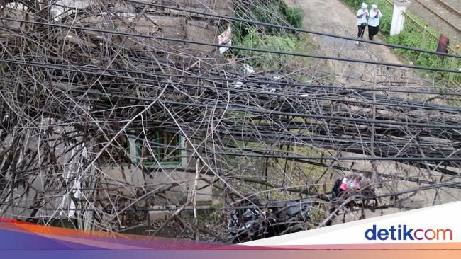 Ini Kabel atau Sarang Laba-laba?