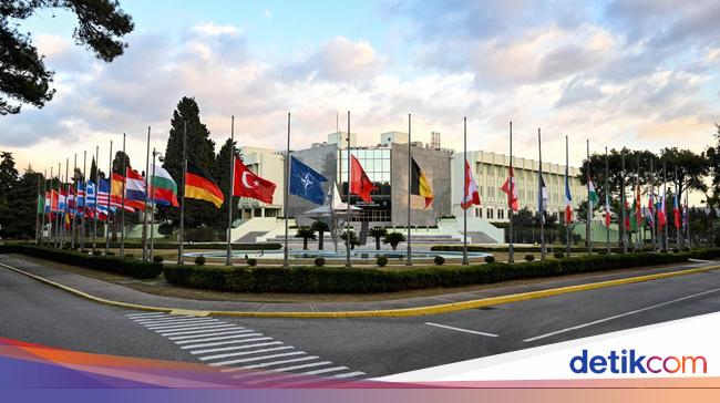Apa Itu Pakta Pertahanan Atlantik Utara? Ini Sejarah dan Negara Anggotanya