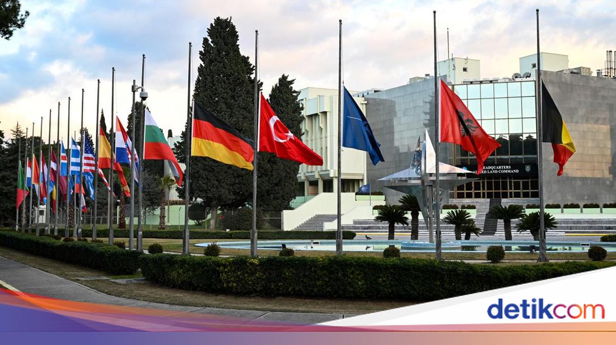 Apa Itu NATO? Pengertian, Tujuan, Anggota, dan Sejarah Pembentukan