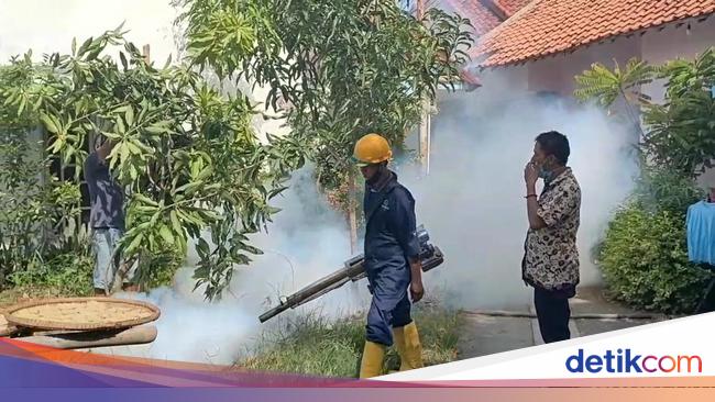 Kasus DBD di Brebes Januari Naik 2 Kali Lipat, 1 Orang Meninggal