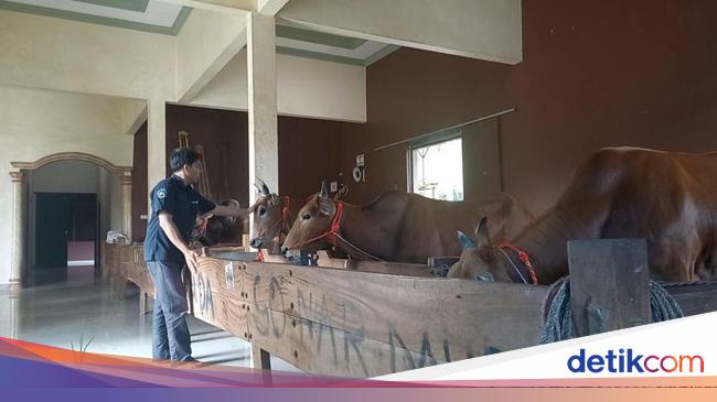 Sultan! Rumah Mewah dan Megah Ini Ternyata Kandang Sapi