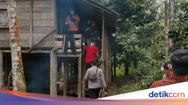 5 Hari Hilang, Petani Karet di Jambi Ditemukan Tewas Membusuk di Pondok 5 Hari Hilang, Petani Karet di Jambi Ditemukan Tewas Membusuk di Pondok