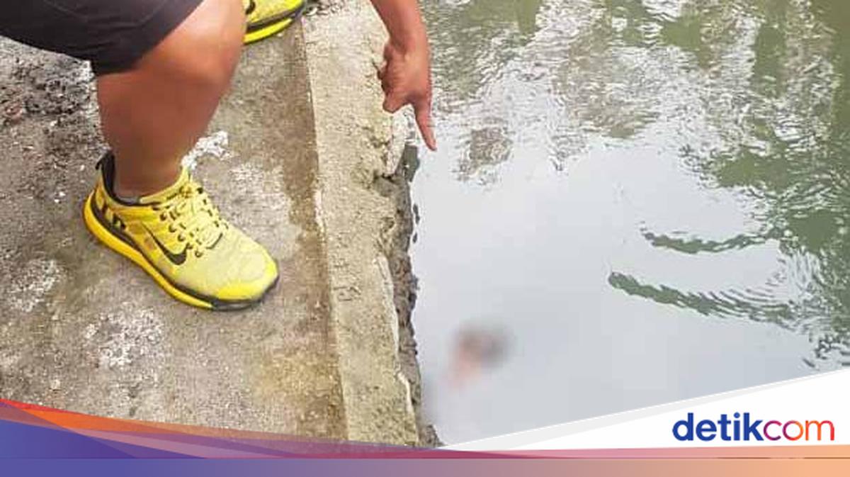 Mayat Bayi di Kerobokan Awalnya Dikira Usus Hanyut