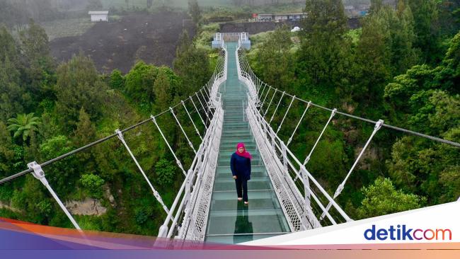 Jembatan Kaca Seruni Point, Ikon Baru Nikmati Cantiknya Gunung Bromo