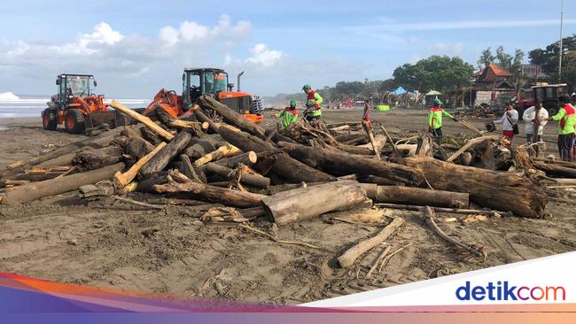 Pantai Seminyak Dibanjiri Sampah Kayu 'Raksasa'