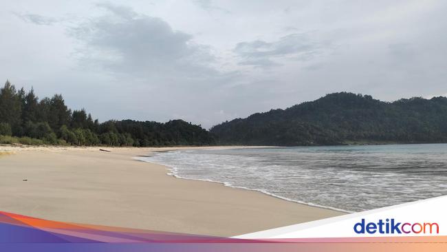 Asyik! Pulo Aceh Punya Spot Lihat Penyu Langka