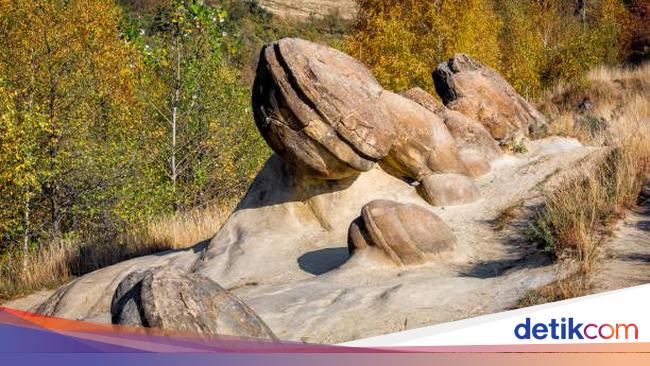 Misteri Batu Hidup yang Bisa 'Melahirkan', Ilmuwan Penasaran