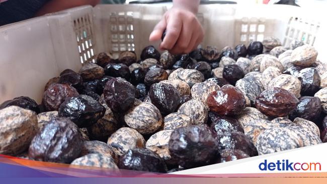 Permainan Tradisional Sunda, Ngadu Muncang: Sejarah, Alat hingga Jenis ...