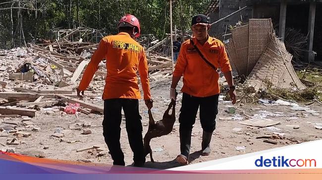 Dua Kambing dan Tujuh Ayam Mati Akibat Ledakan Dahsyat di Blitar Dua Kambing dan Tujuh Ayam Mati Akibat Ledakan Dahsyat di Blitar