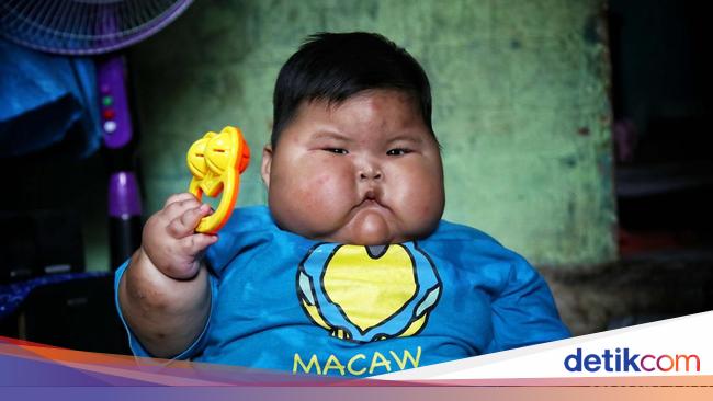 Viral Dikaitkan Bayi Obesitas Kenzie, Ahli Gizi Beberkan Bahaya Anak ... Viral Dikaitkan Bayi Obesitas Kenzie, Ahli Gizi Beberkan Bahaya Anak ...