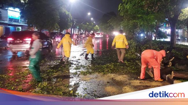 Hujan Lebat Banjiri 2 Kawasan di Surabaya-Tumbangkan Sebuah Pohon