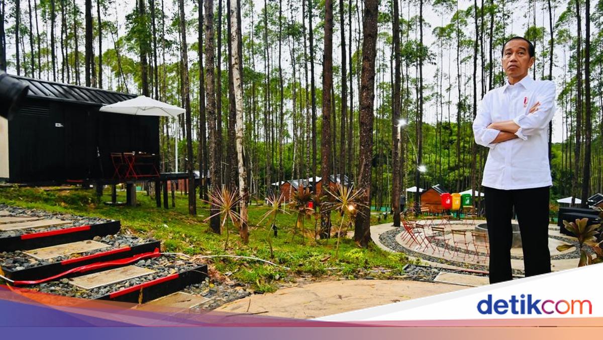 Jokowi dan Prabowo Upacara 17 Agustus di IKN, Ma'ruf dan Gibran di Jakarta