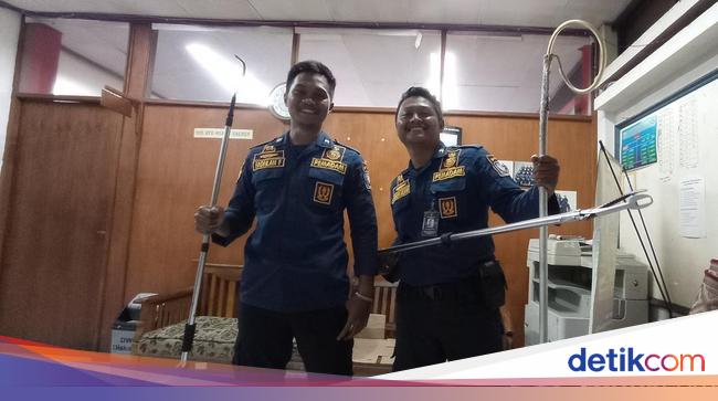 Mengenal Alat Tempur Evakuasi Ular Milik Diskar PB Bandung