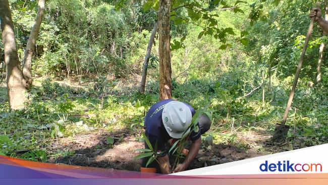 Destinasi Goa Batu Cermin Dicanangkan Jadi Pusat Bambu di Labuan Bajo