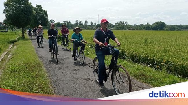 Asiknya Wisata Keliling Desa dengan Bersepeda Onthel Klasik di Kulon Progo