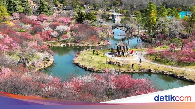 Menikmati Suasana Musim Semi di Taman Nasional Yangzhou China