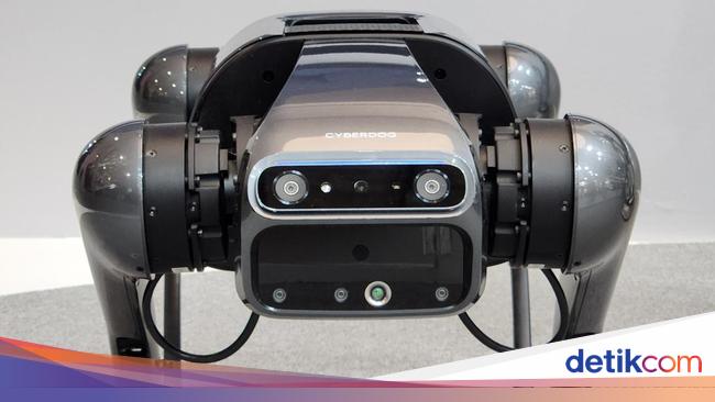 Robot Anjing Beraksi: Bisa Jungkir Balik, Tak Menggigit