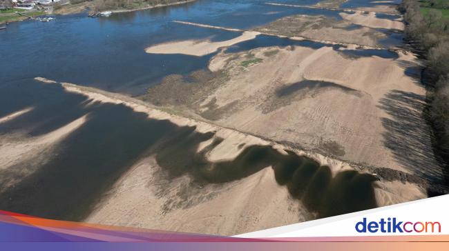 Anomali Adalah Suatu Kelainan, Ketahui Contohnya di Berbagai Bidang