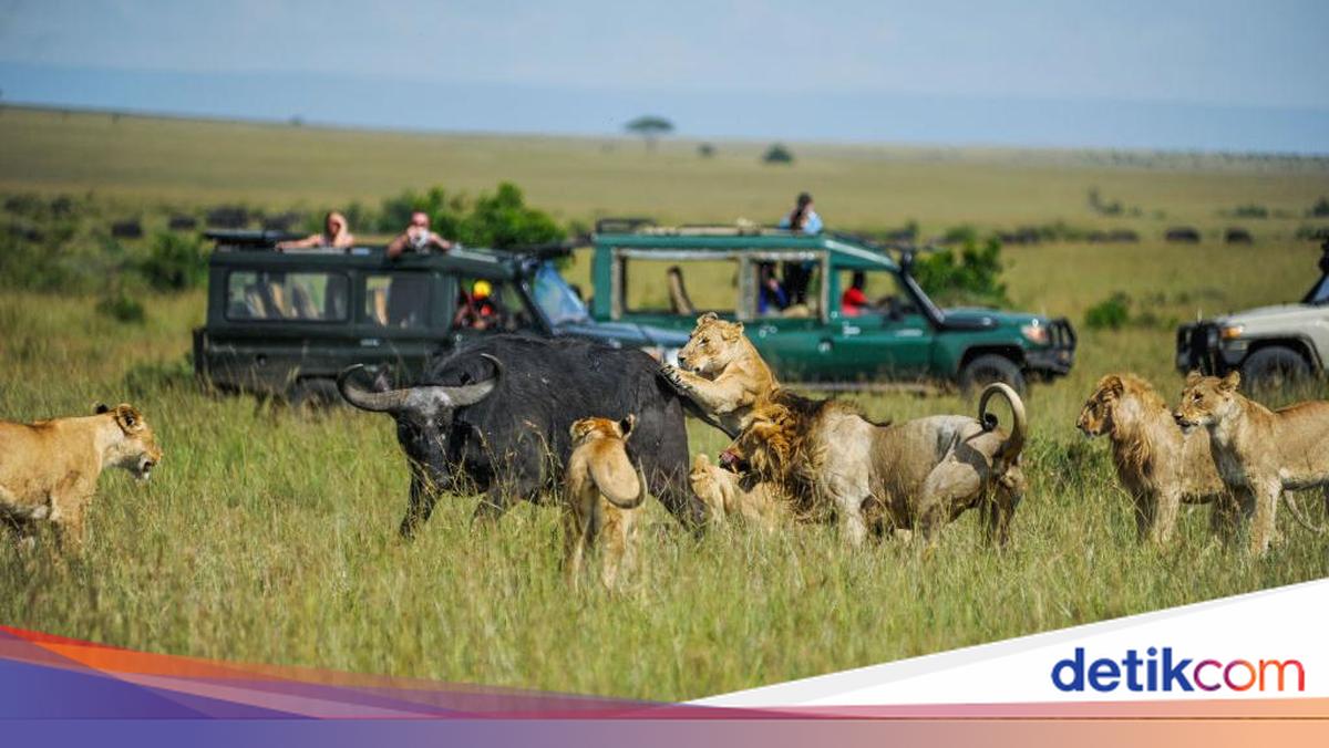 Sejarah Hari Hewan Sedunia 4 Oktober, Ini Fauna Identitas Jawa Timur