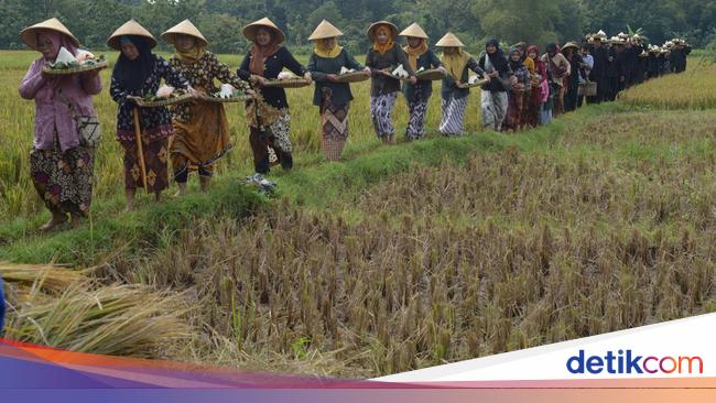 Melihat Tradisi Kirab Merti Desa Godean di Boyolali