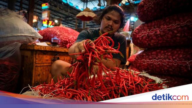 Pedas Harga Cabai Di Jakarta Naik Hari Ini