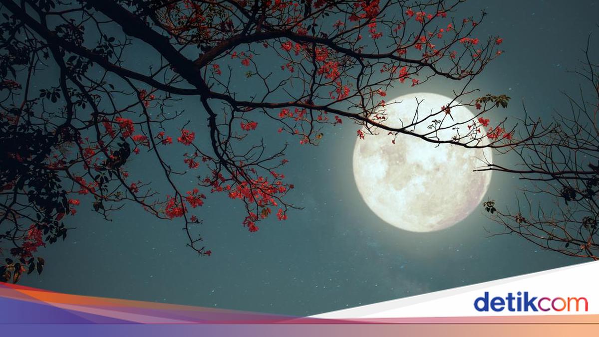 12 Fakta Menarik Tentang Bulan, Apakah Kamu Sudah Tahu?