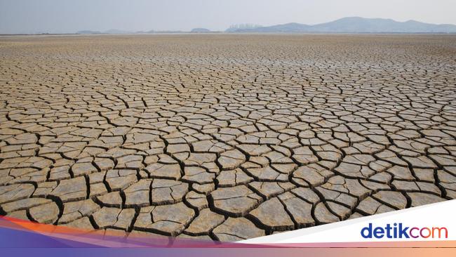 Bali Diprediksi Hadapi Kemarau Panjang, BPBD Siapkan Langkah Mitigasi Bali Diprediksi Hadapi Kemarau Panjang, BPBD Siapkan Langkah Mitigasi