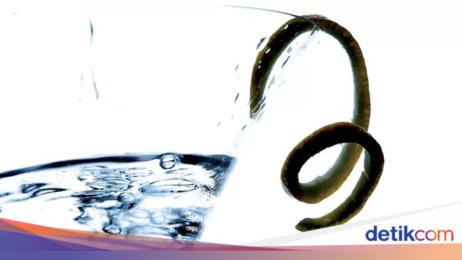 10 Cocktail Termahal di Dunia, Ada yang Harganya Rp 293 Juta!